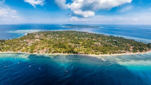 Sunda Island Tiger: Things To Know