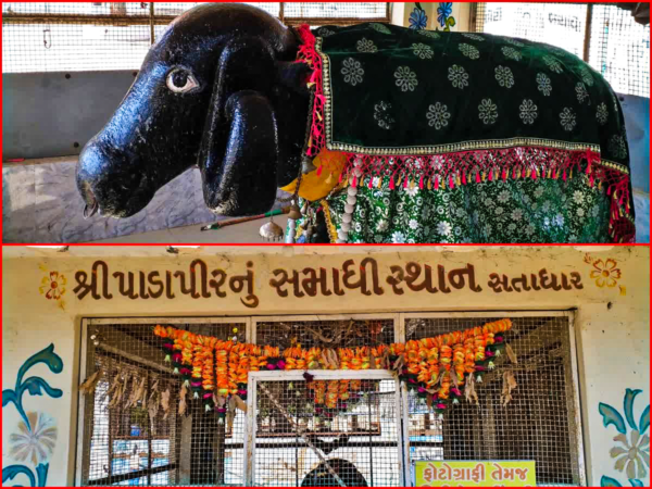 Satadhar Mandir - પાડાપીરનો ઈતિહાસ (Prasad Timing & Fees)