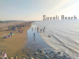 Suvali Beach, Surat (Timing, Fees, Location Guide)